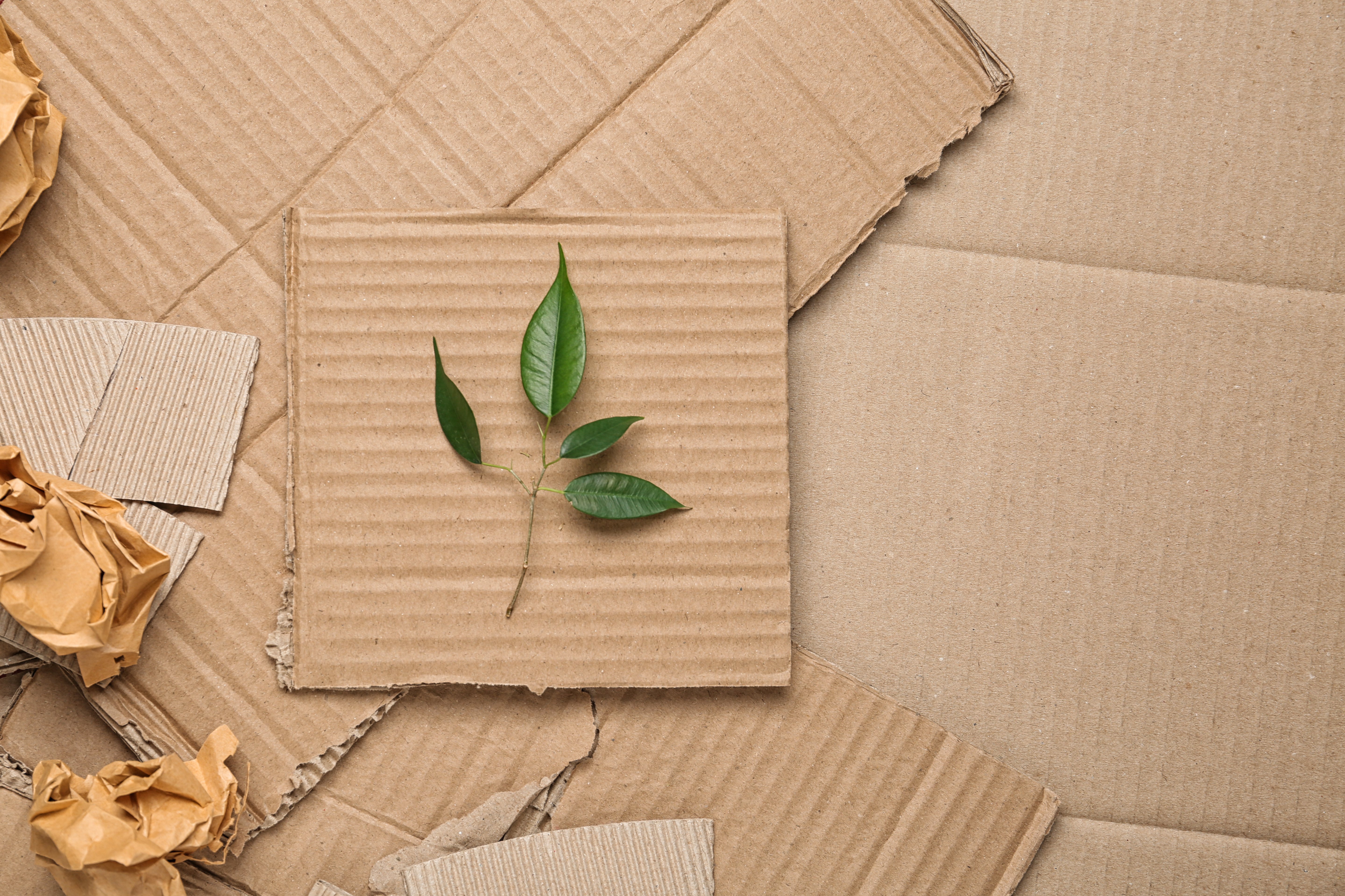 Sustainability in Corrugated Packaging